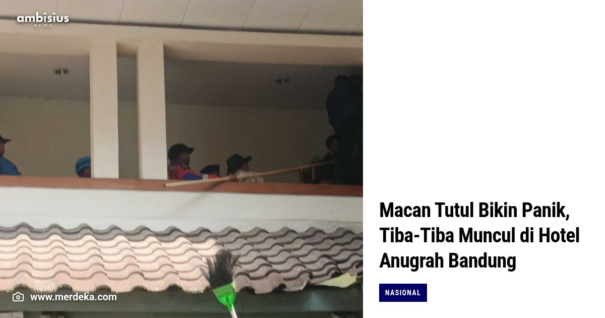 Macan Tutul Bikin Panik, Tiba-Tiba Muncul di Hotel Anugrah Bandung