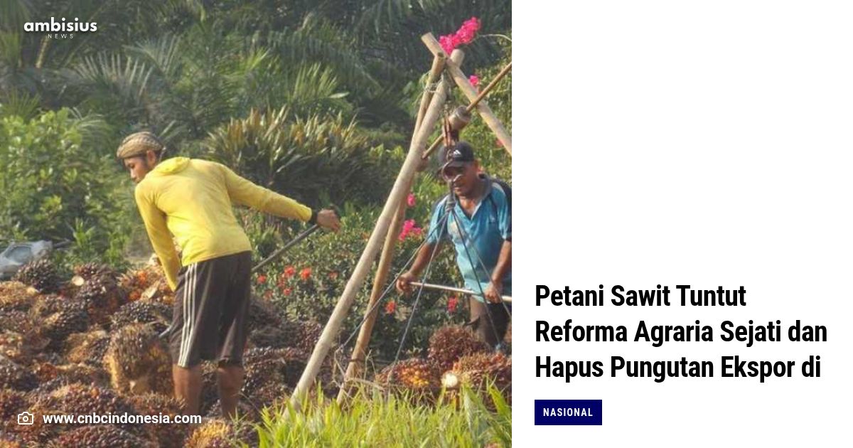 Petani Sawit Tuntut Reforma Agraria Sejati dan Hapus Pungutan Ekspor di Hari Tani Nasional