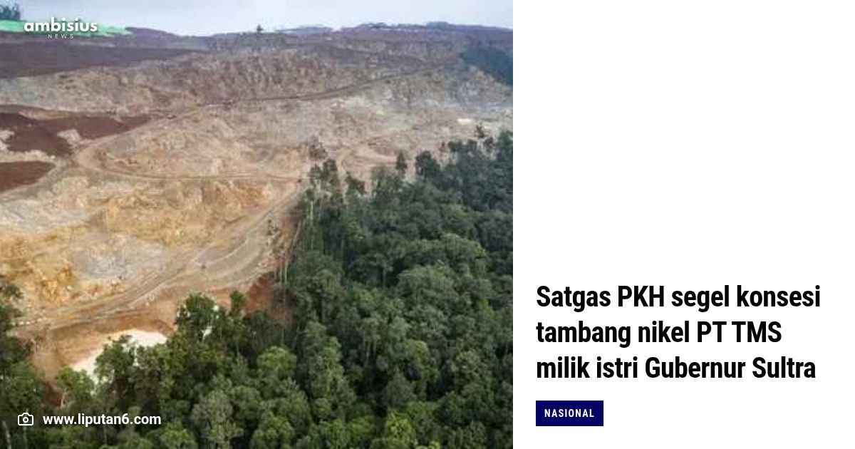 Satgas PKH segel konsesi tambang nikel PT TMS milik istri Gubernur Sultra